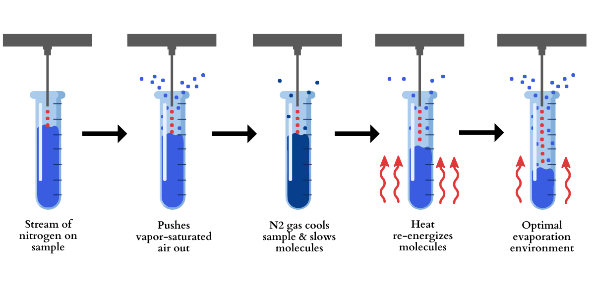 What is Nitrogen Blowdown Evaporation?