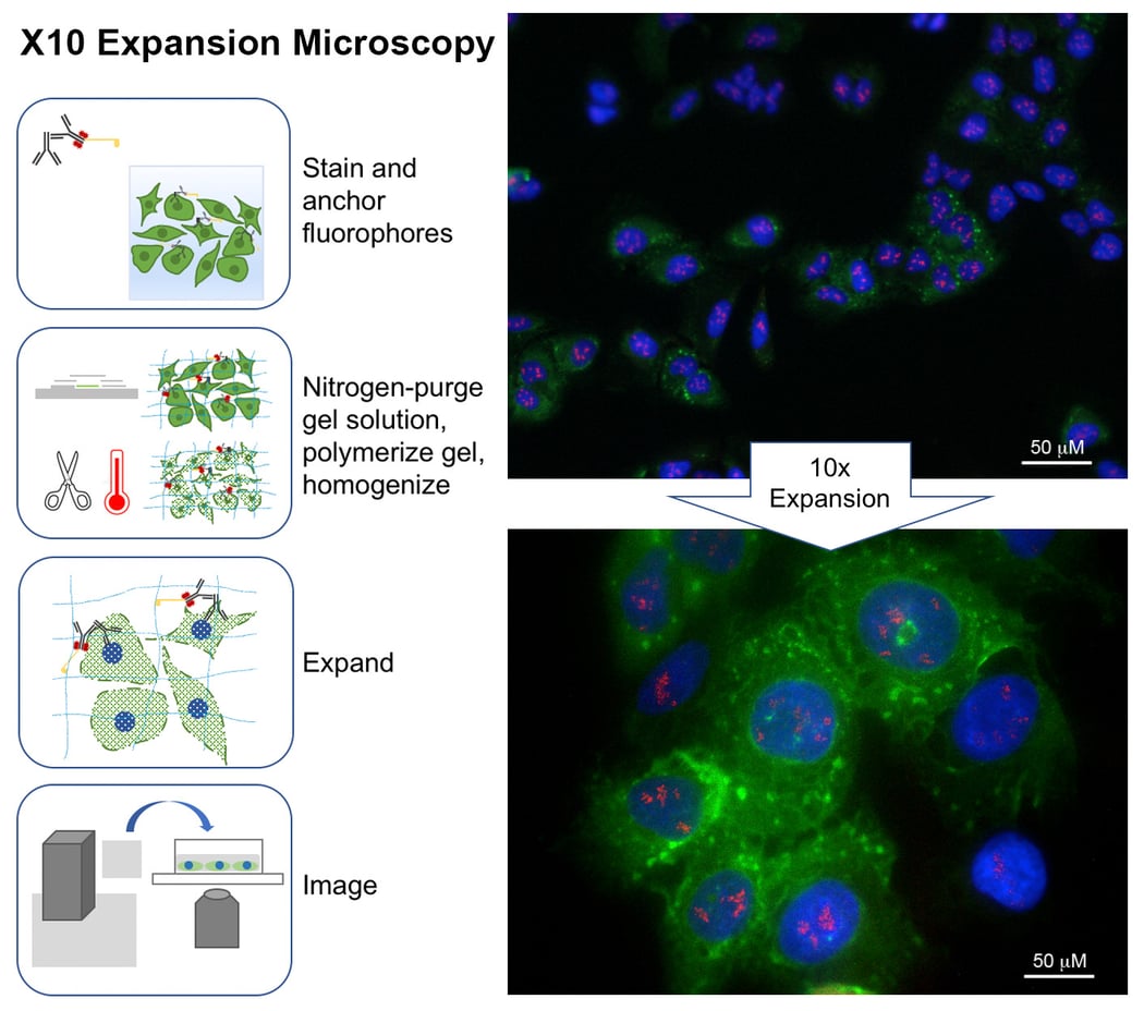 Proteomics Lab Uses Nitrogen Purge System to Purge O2 from Solution